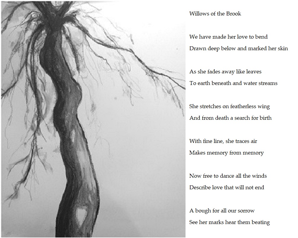 willows of the brook | philip bennetta