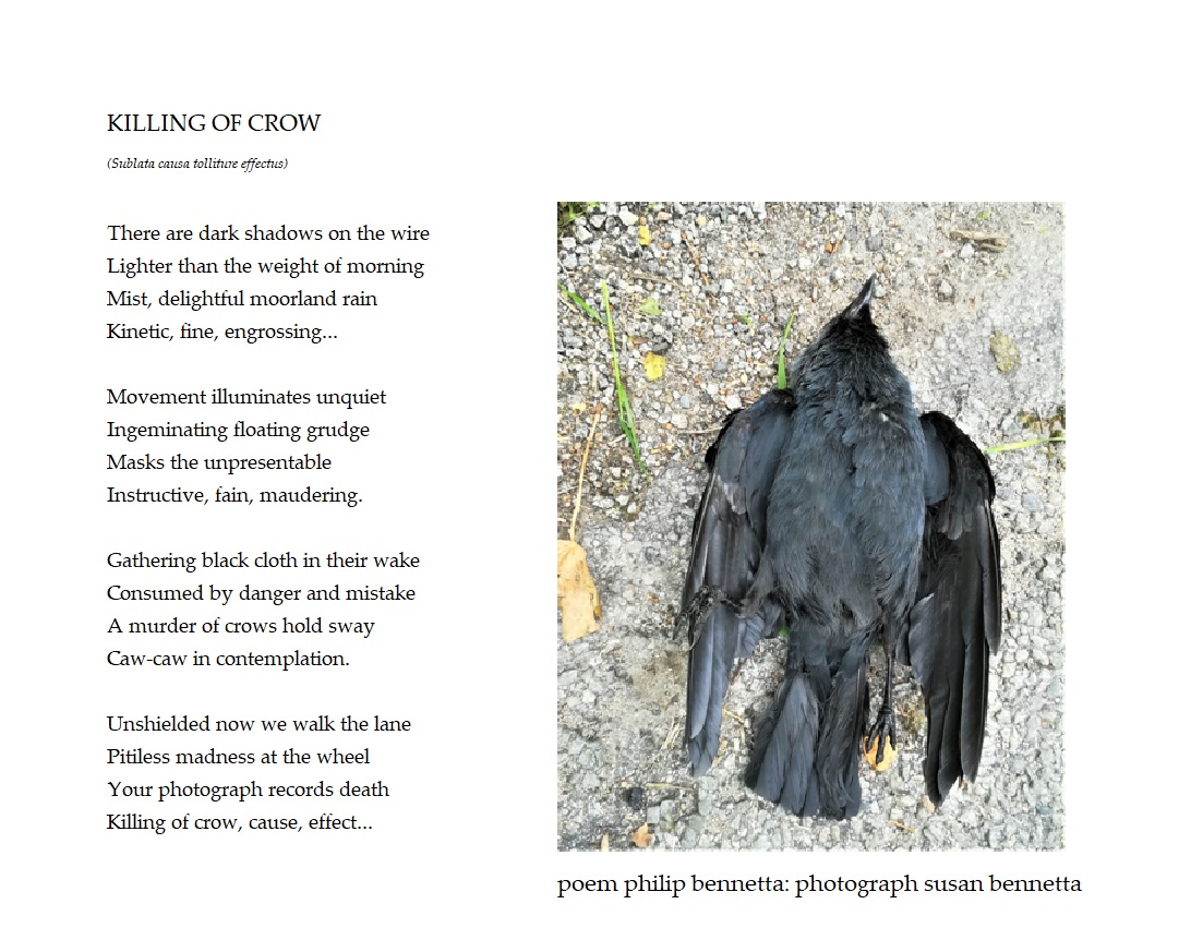 killing of crow | philip bennetta
