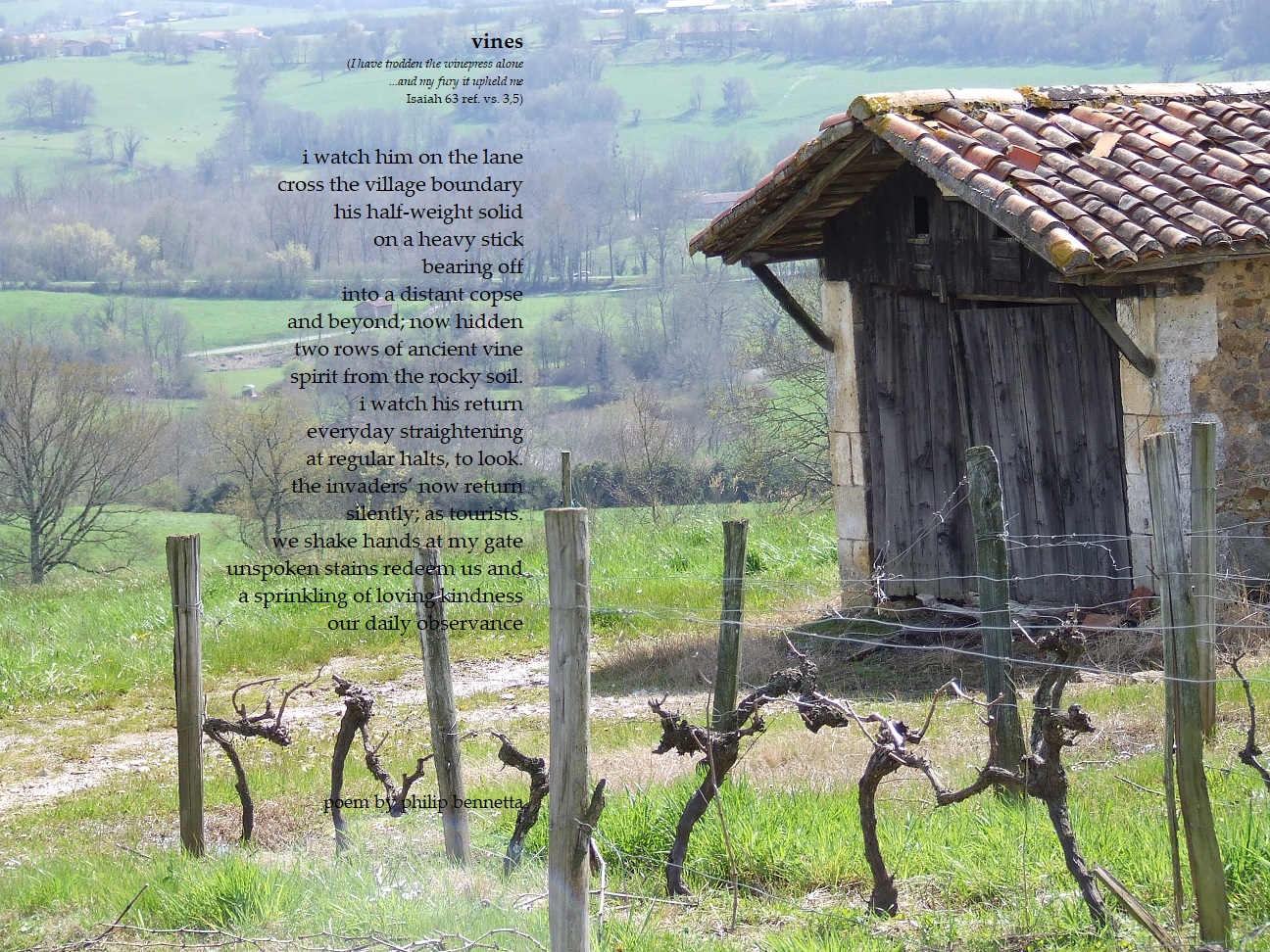 vines | philip bennetta